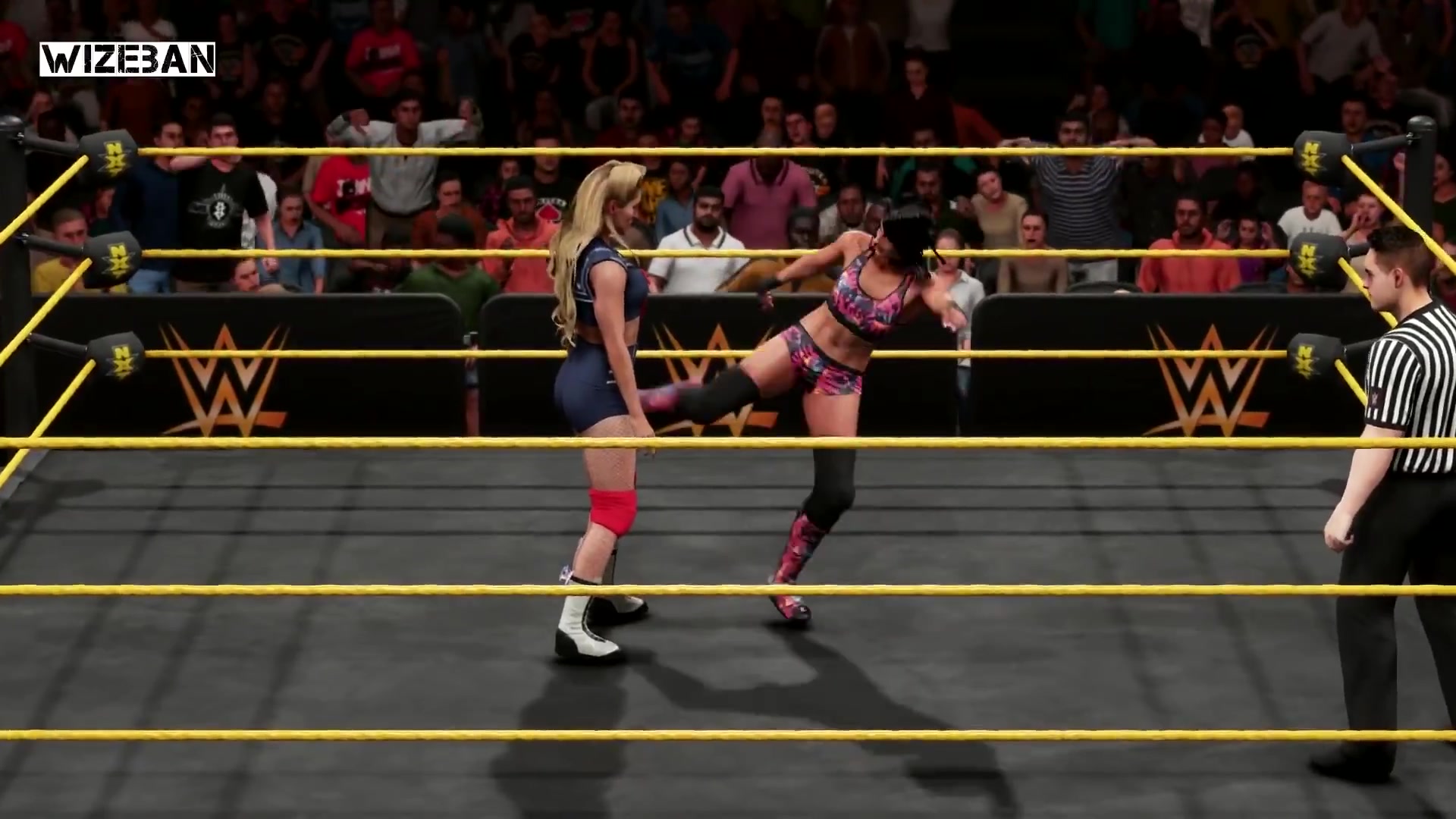 WWE2K19 1.04补丁的招式更新