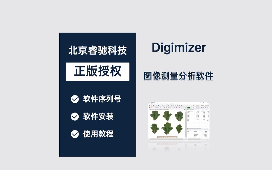 Digimizer医学图像分析软件!