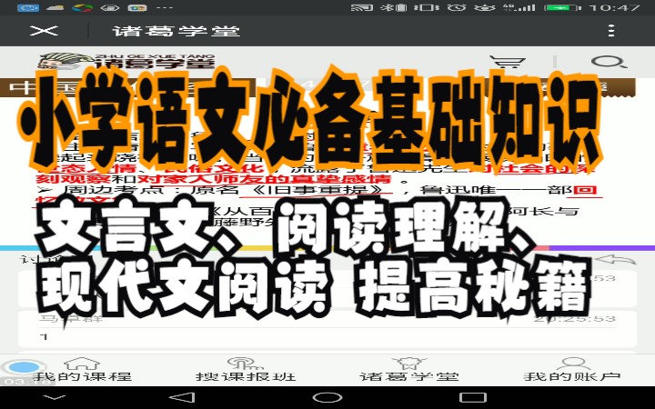 小学语文必备基础知识 文言文、阅读理解、现代文阅读提高秘籍 小升...