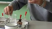 生物实验六:探究唾液对淀粉的消化作用
