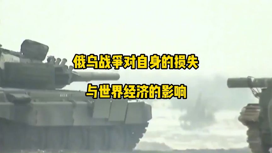 俄乌战争对自身的损失与世界经济的影响