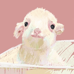 All宝十个勤天缺一不可 