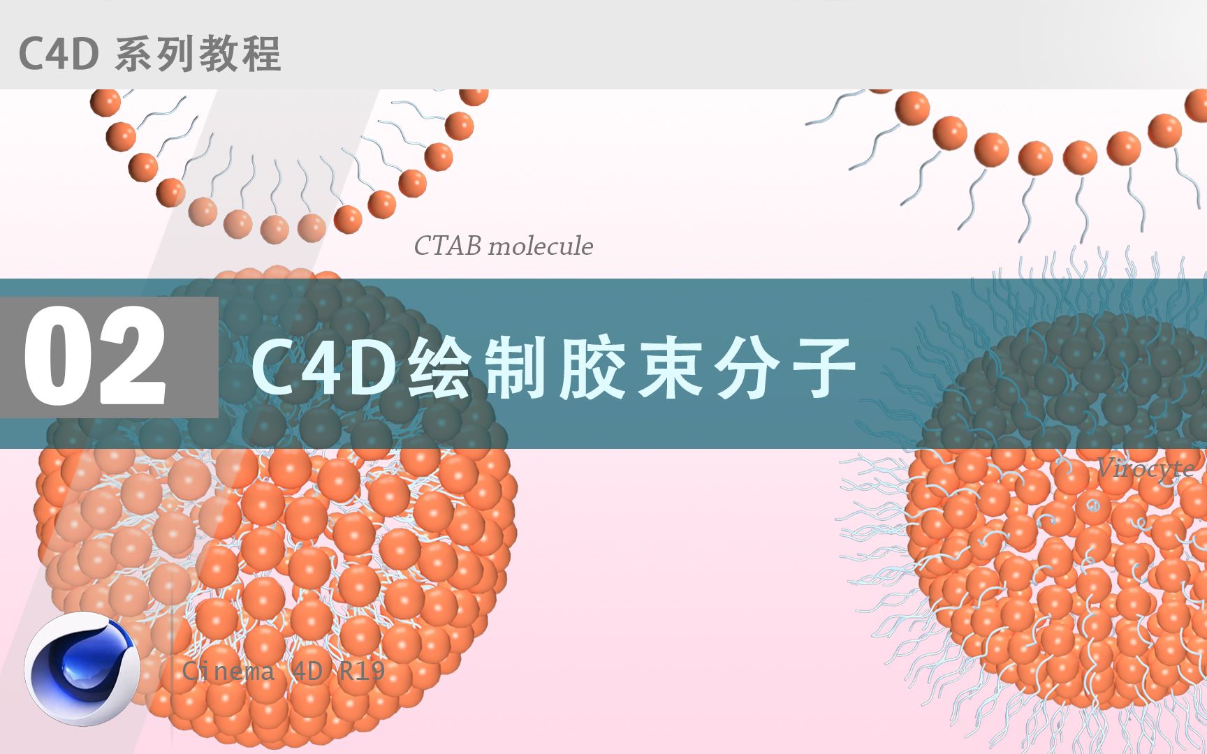 C4D绘制CTAB胶束分子