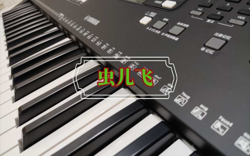 【电子琴】音协第五套二级考级乐曲《虫儿飞》