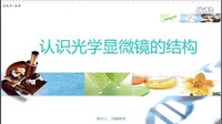 光学显微镜结构