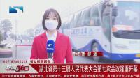 湖北省第十三届人民代表大会第七次会议隆重开幕