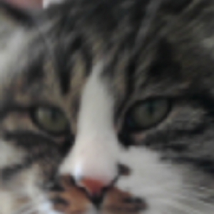 绯衣神不着绯衣 