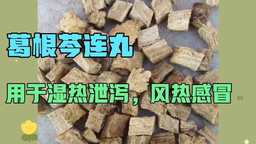葛根芩连丸,解肌发表清热解毒利湿止泻,用于湿热痢疾风热感冒等