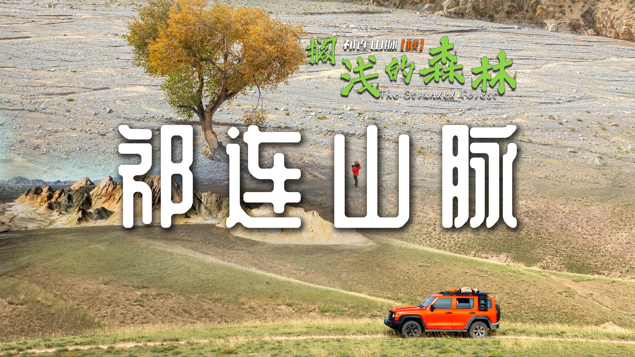 单人单车穿越祁连山脉,进入森林,草原,戈壁的交界之地|搁浅的森林 |【...