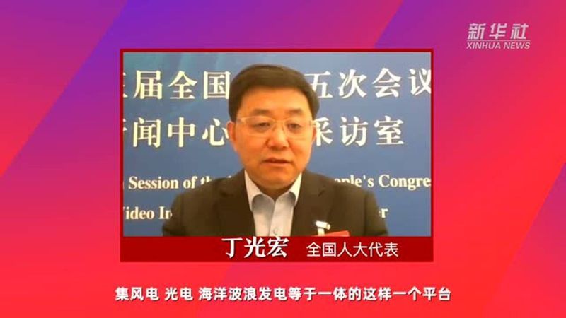 代表委员议国是:有力有序有效推进“双碳”工作