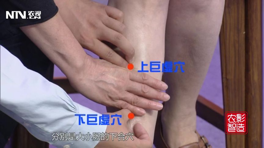 腿上的上巨虚和下巨虚对应着小肠,常揉揉可以止腹泻