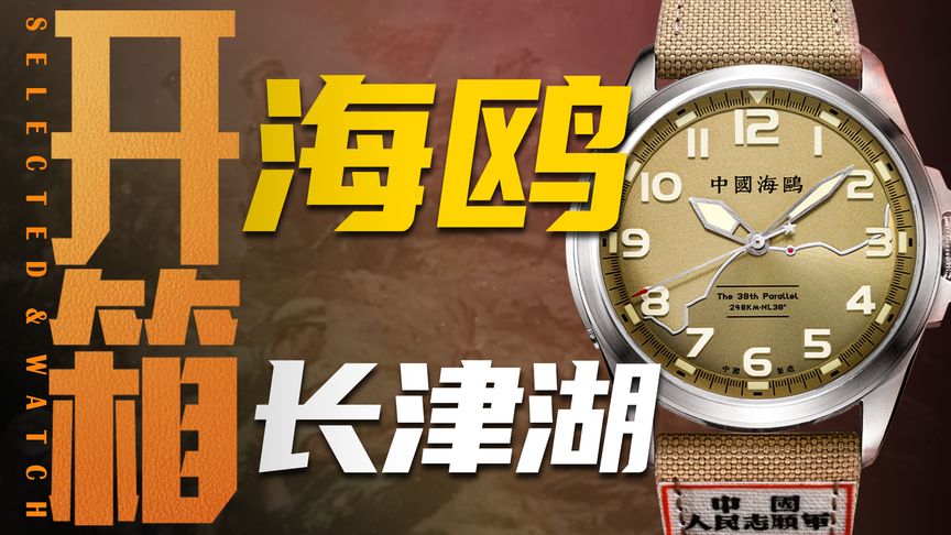 3000元为情怀买单不贵!国表海鸥长津湖联名款究竟怎么样?