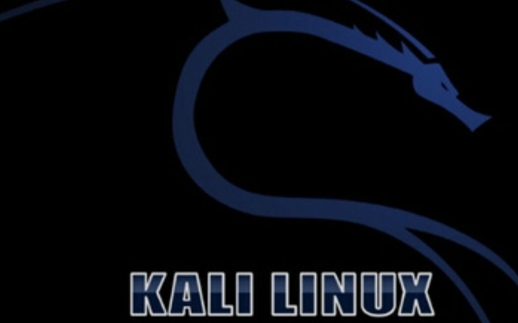 Kali Linux web攻防网络安全黑客入门基础渗透测试教程