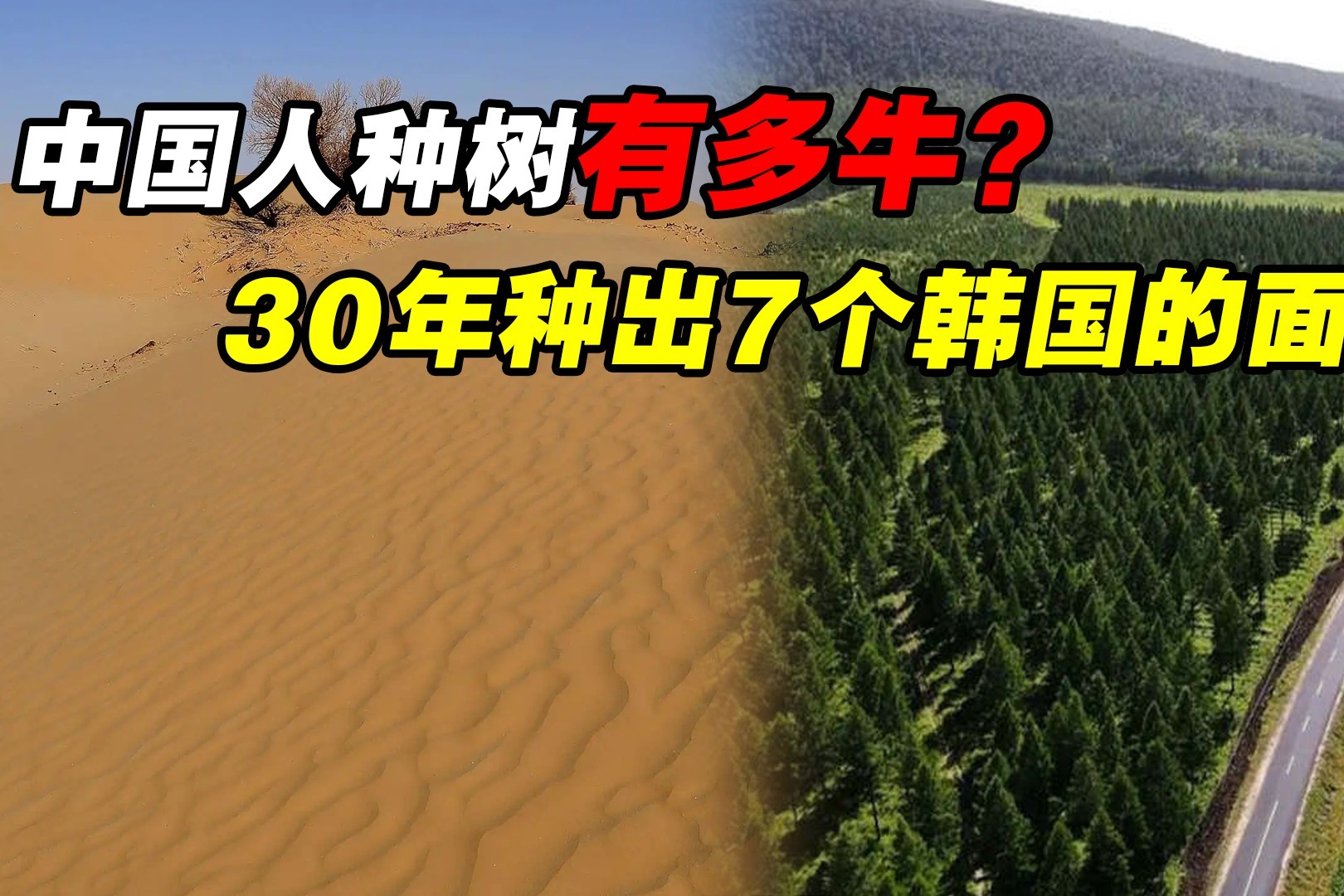 中国人种树有多牛?30年干掉千年老沙漠,面积相当于7个韩国