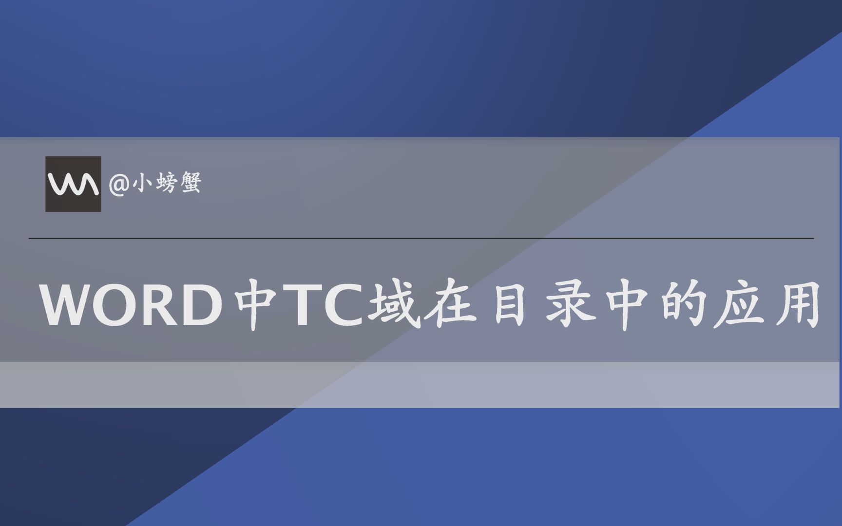 WORD的TC域在自动目录中的特殊应用