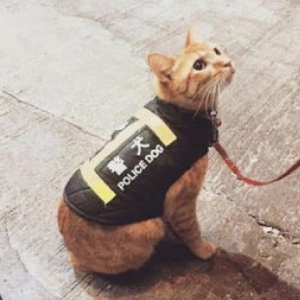 丨渊丶 