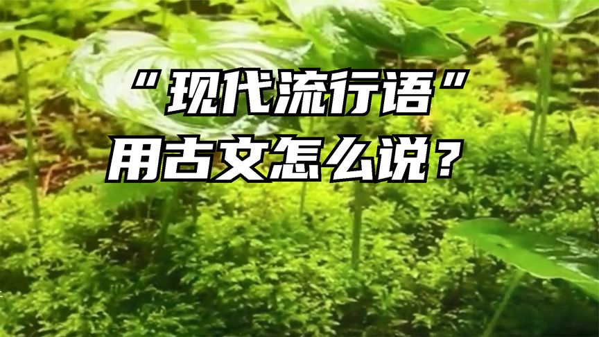 “现代流行语”用古文怎么说?