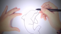 儿童简笔画:.如何为孩子画海豚_海豚绘画教程 简笔画教学视频