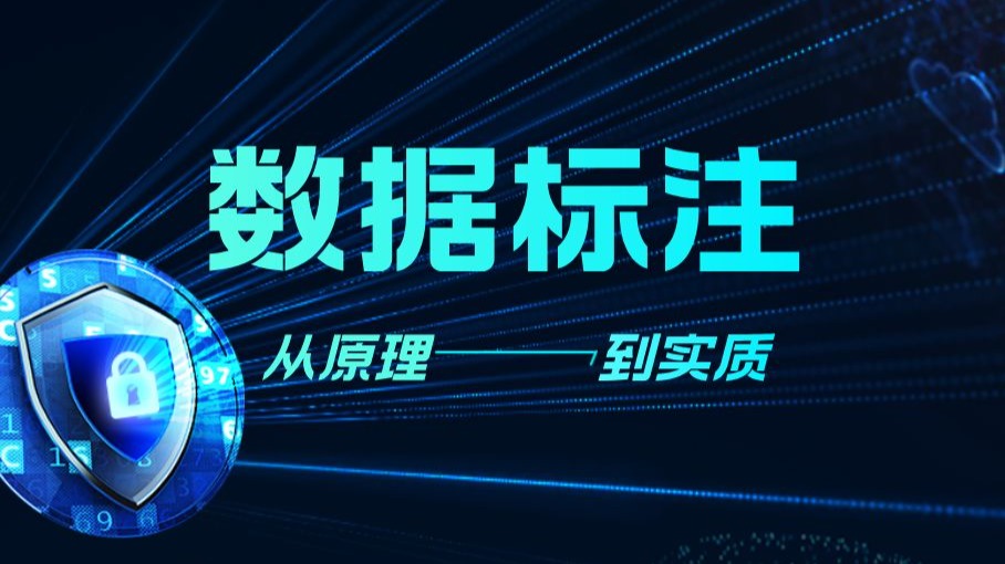 数据标注究竟是什么工作?从图像到文本,从原理到实例,一条视频带你...