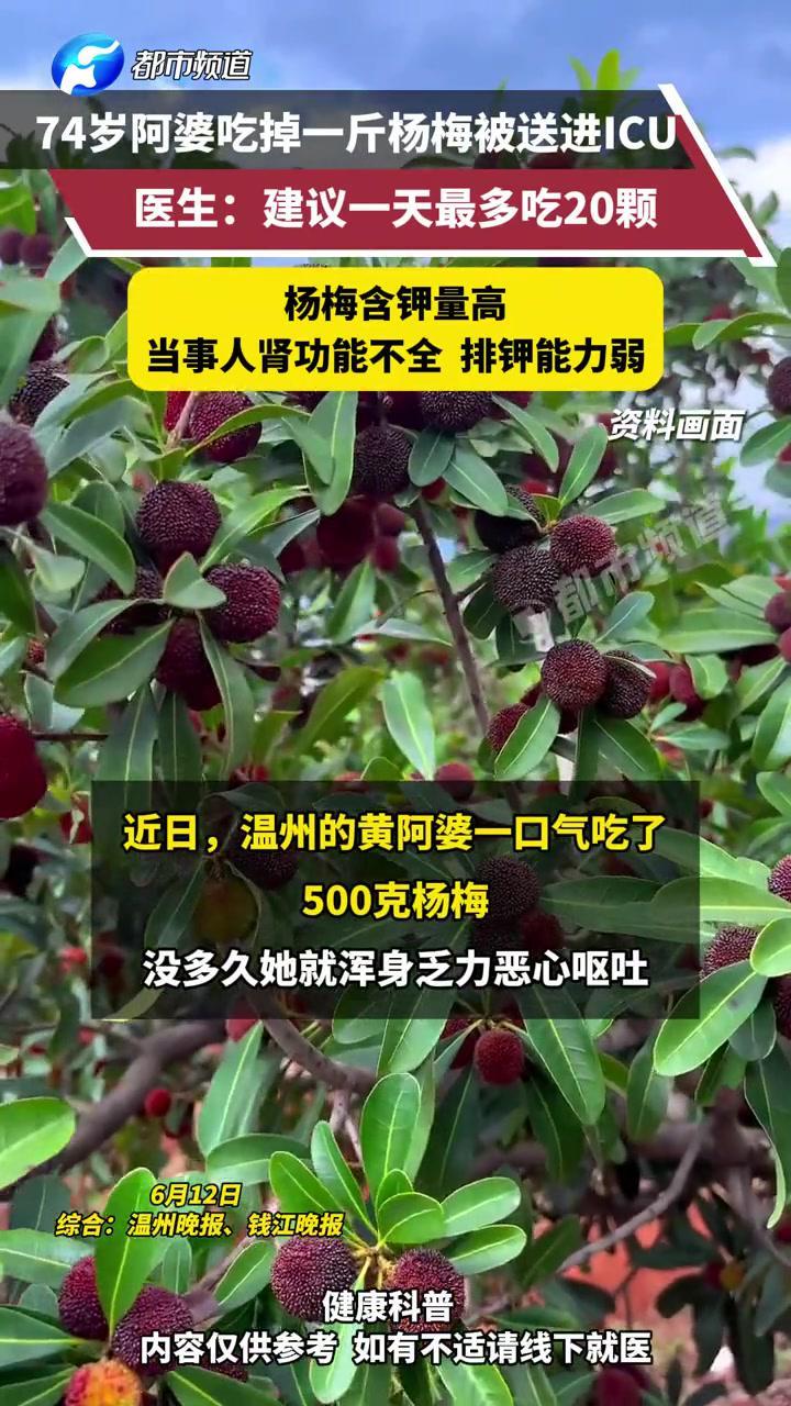 74岁阿婆吃掉一斤杨梅被送进ICU,医生:当事人肾功能不全,排钾能力弱,...