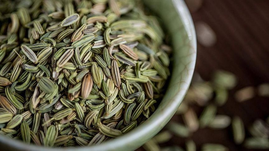 一个小茴香,利用好,竟然这么多功效,赶紧来看下吧