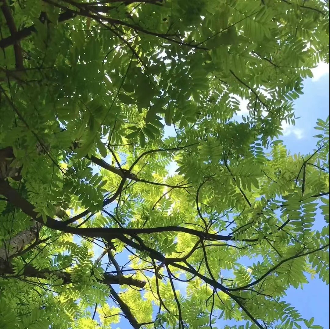 汉达森新宇13390167995 