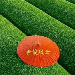 世俊凤云 