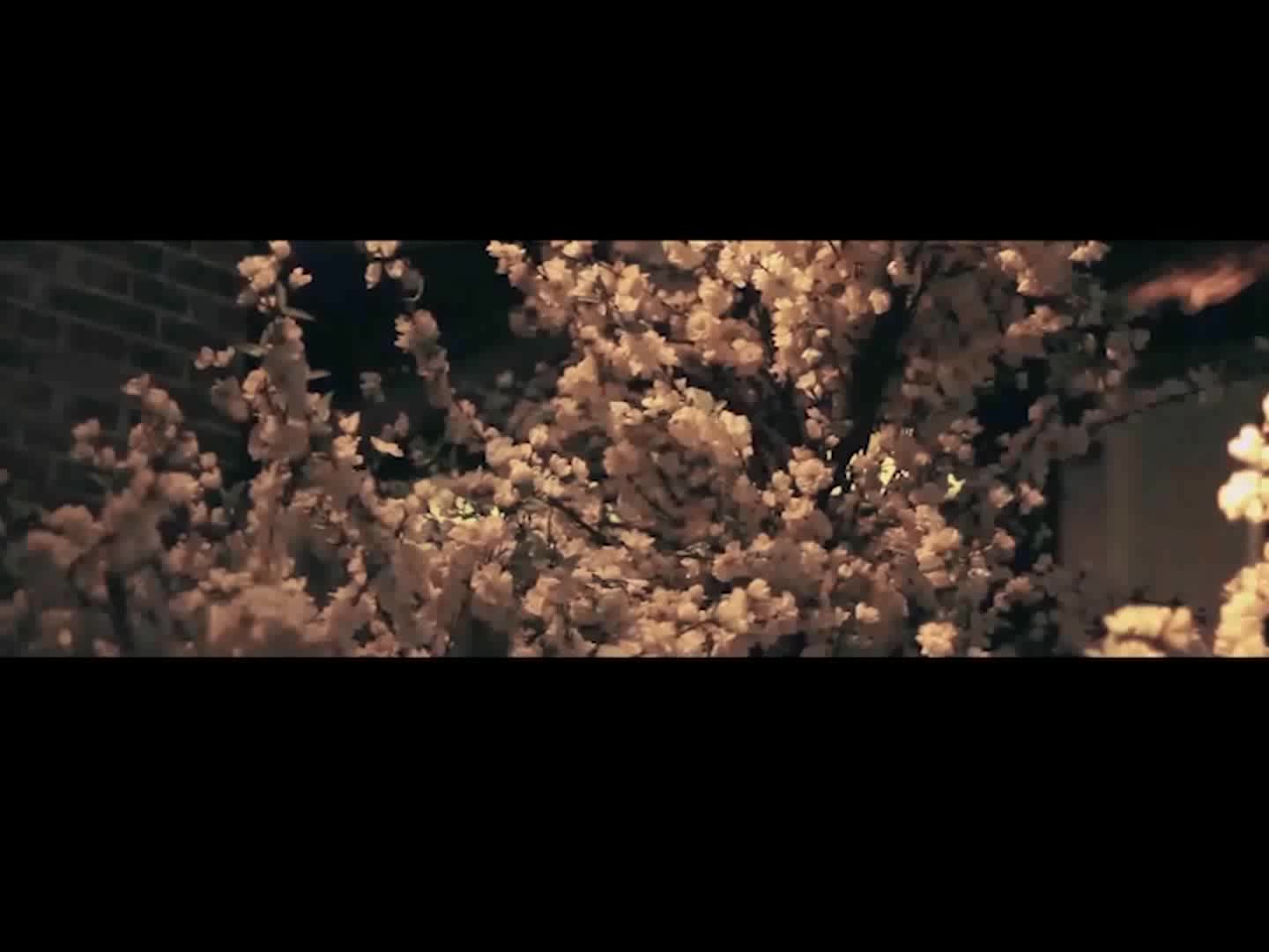 罗浮生&玉墨【风月】:偶见玉生烟,终是浮墨浅