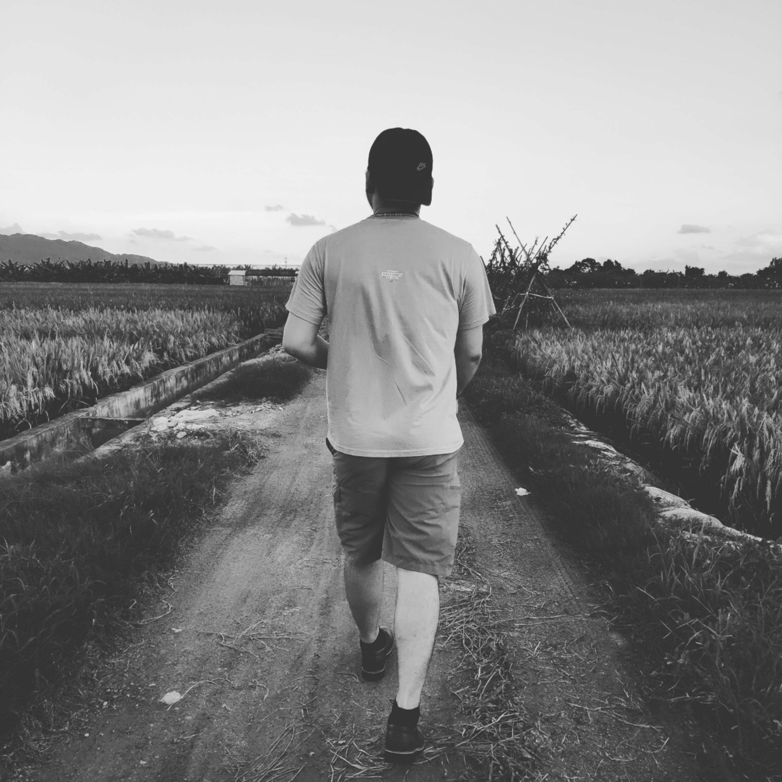 农资数字化-老王 