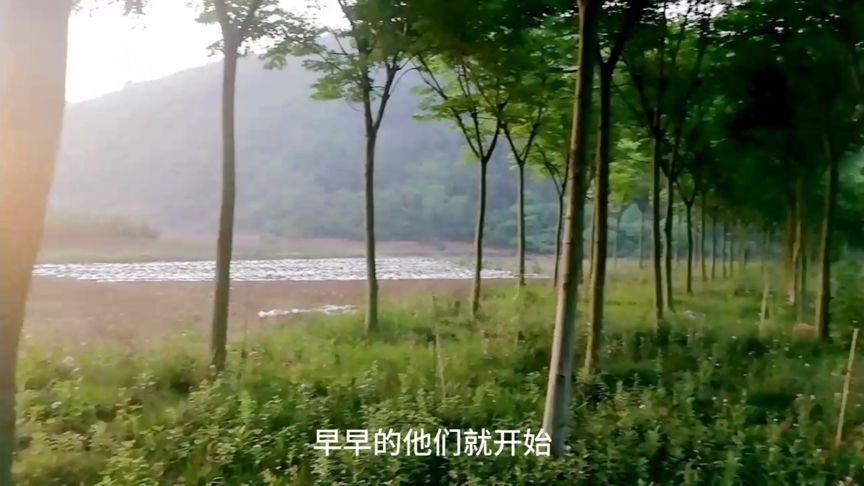 计划书你不会写,拉倒吧,你怎么干?该死的创业3