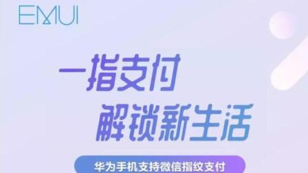 花粉们期待已久的微信指纹支付,华为终于支持了!