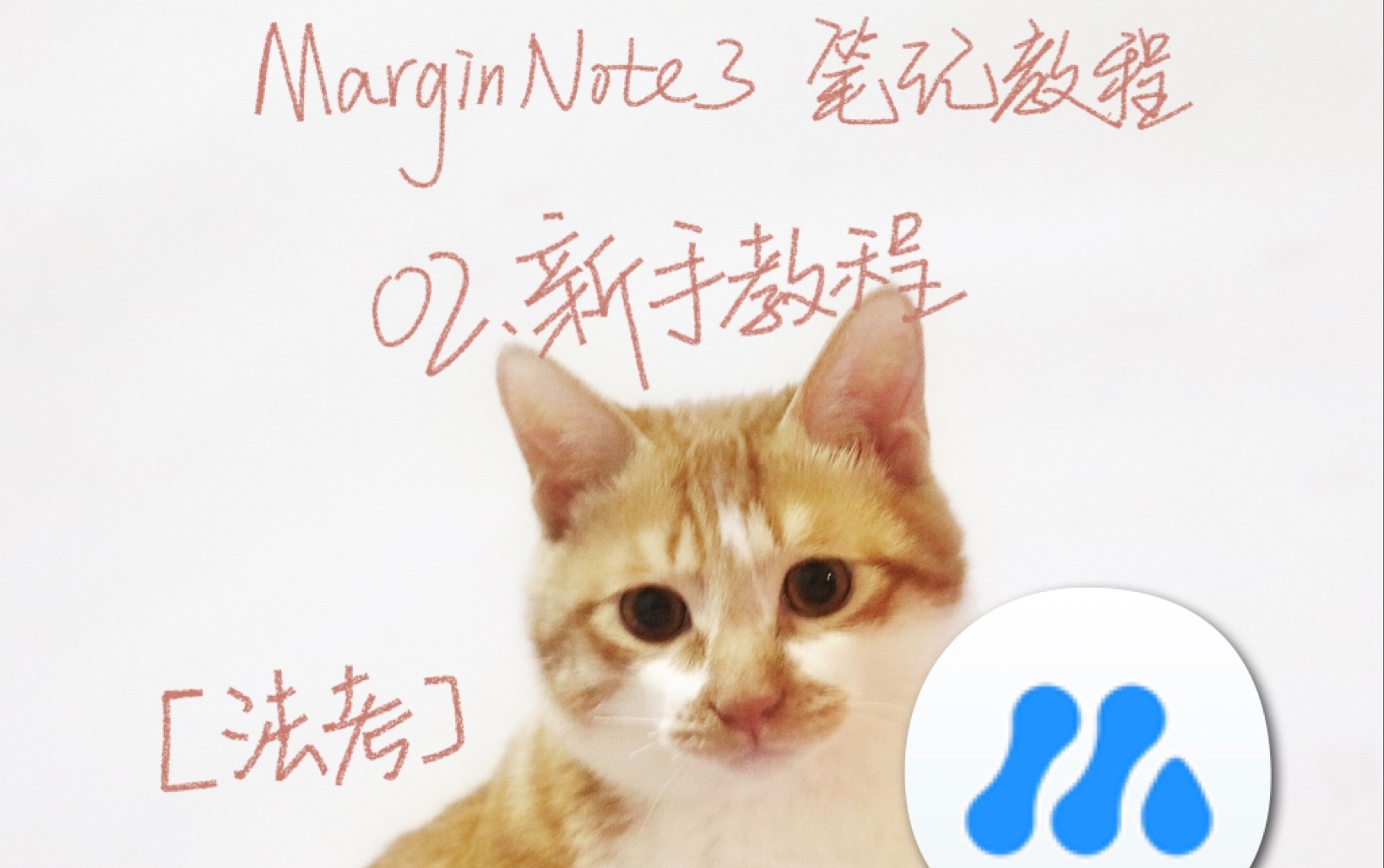 【02·新手教程】手把手教你用MarginNote3做笔记