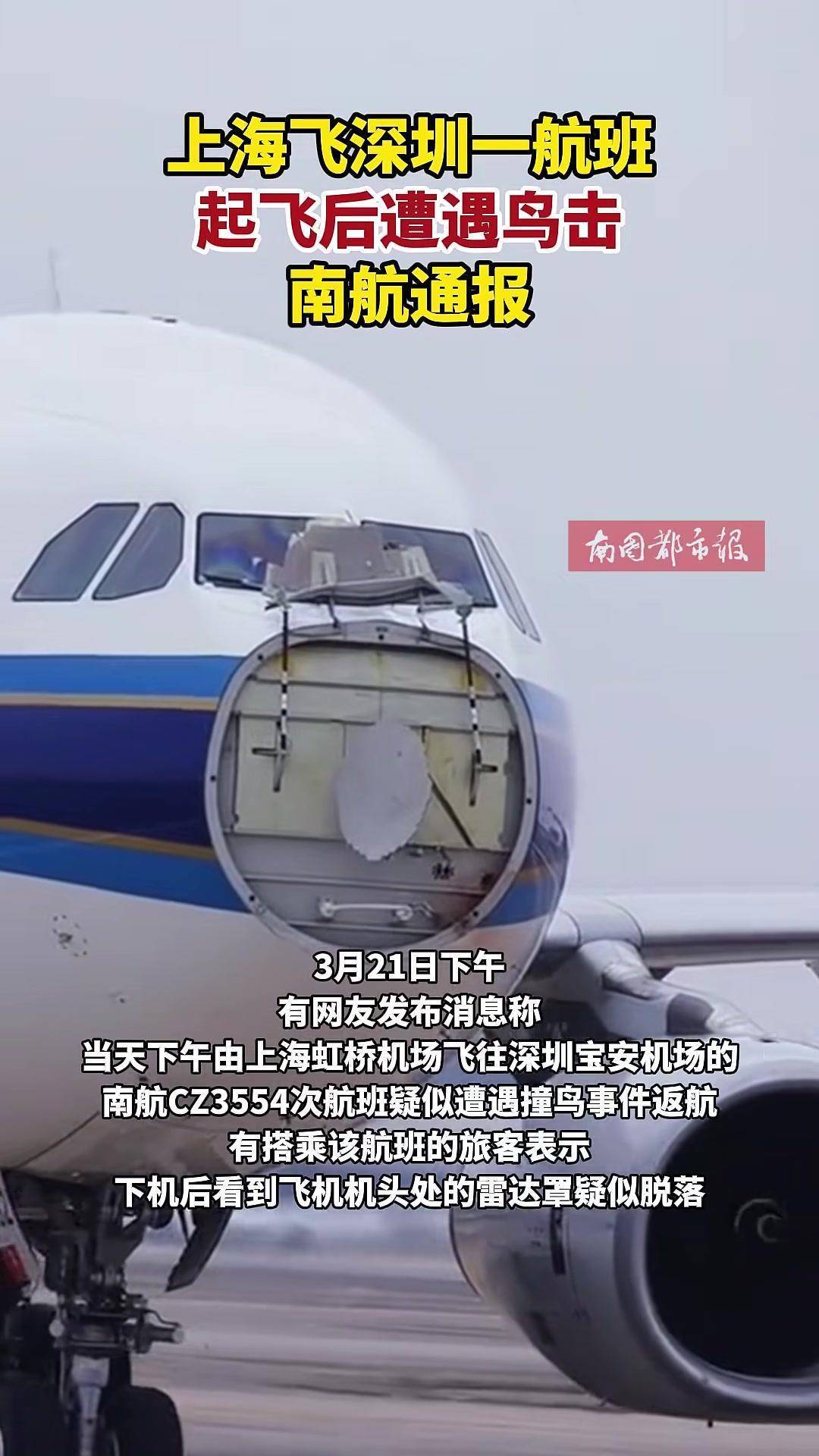 上海飞深圳一航班起飞后遭遇鸟击,南航通报