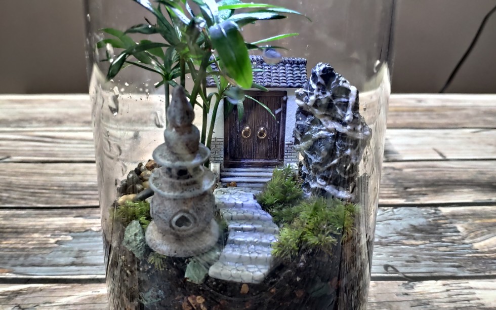 【微景观生态瓶】青龙石微景观设计