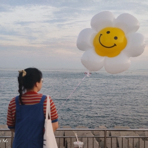 拉格朗日回旋踢 