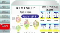 《生物膜的流动镶嵌模型》四川省 - 成都(苏教版必修1)