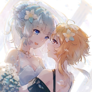 鸫飗 