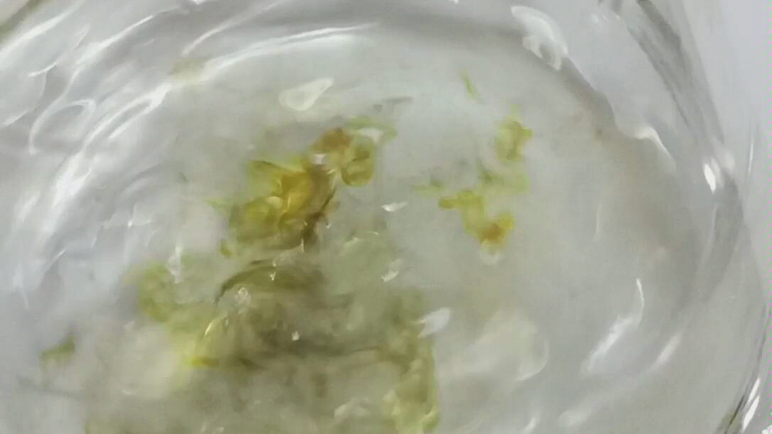 转转转(`･∪･´)碘碘碘