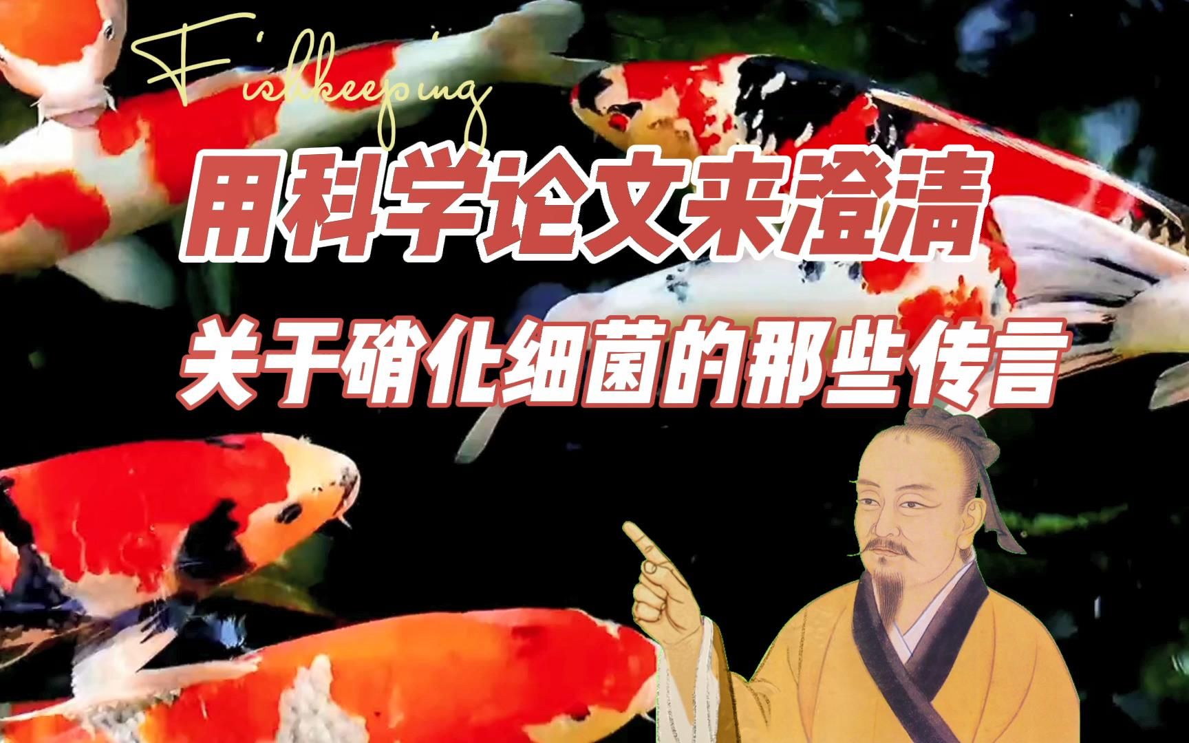 当养鱼遇到科学论文,用文献来澄清关于硝化细菌的那些传言
