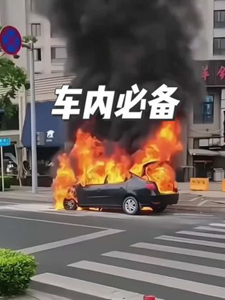 车用家用必备灭火器,有备无患 希望你永远用不到,但不能没有#车载...