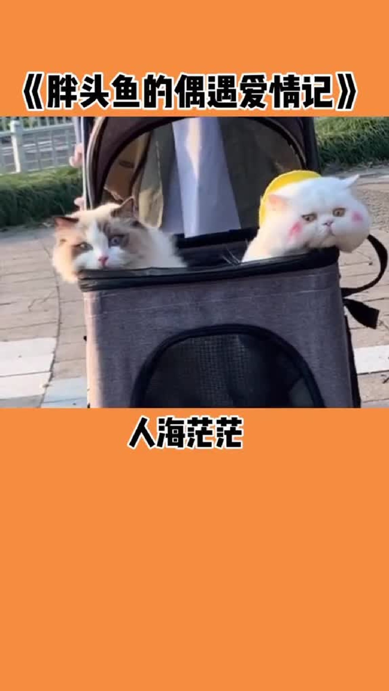 如果满分是十分,我给今天打一百分如果可以,我希望多一