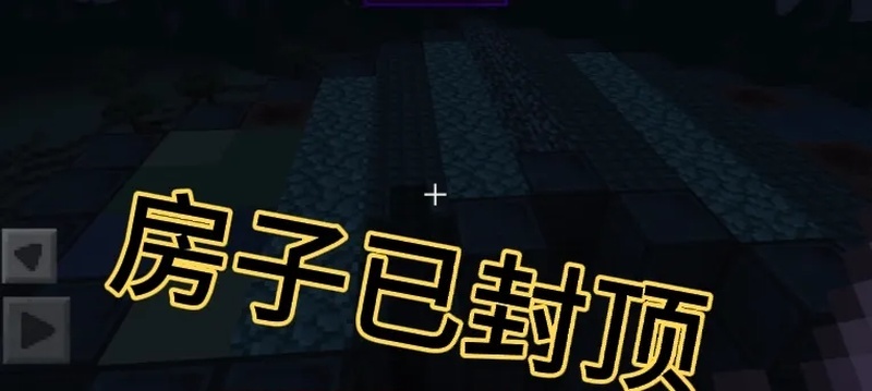 温馨小木屋07:爱心新的房子已竣工,下钱给房子高装修! #mc不灭