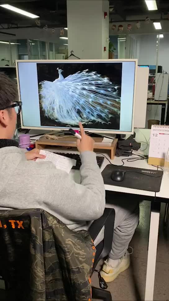 ps 教你复杂环境抠孔雀