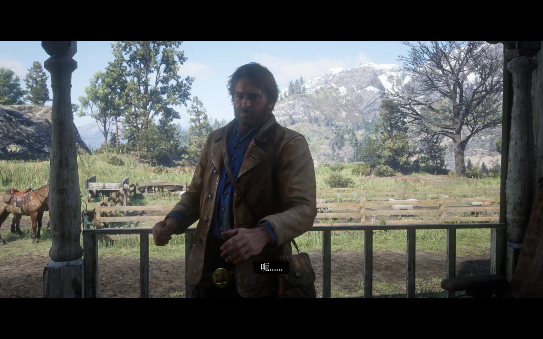 【荒野大镖客2】实况,如果一直不选帮助玛丽会怎样?_单机游戏热门视频