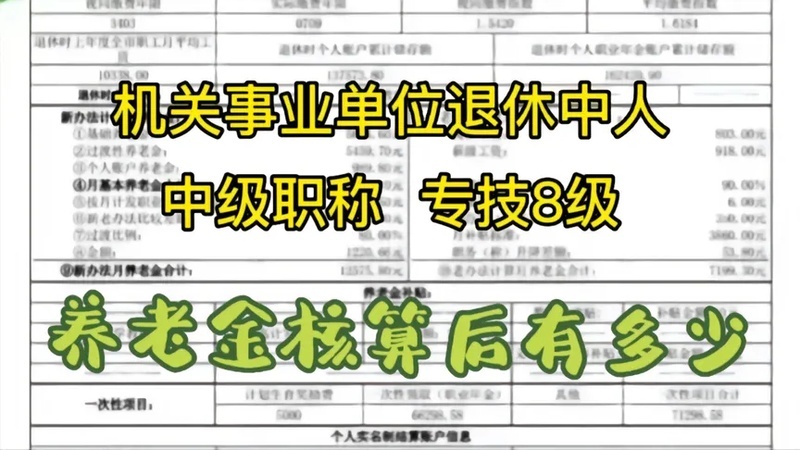 机关事业单位退休中人,中级职称～专8,养老金核定表解析(二)