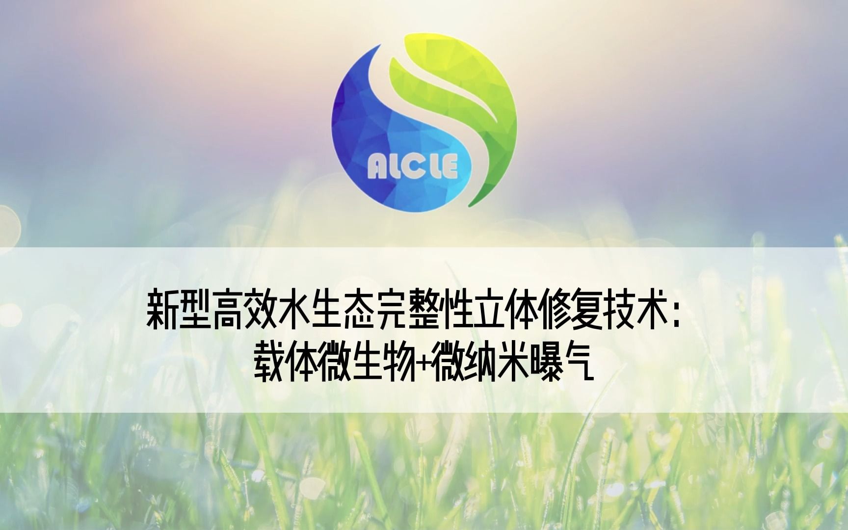 新型高效水生态完整性立体修复技术:载体微生物+微纳米曝气