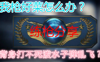 【分享⑨】[CSGO]萌新向·枪法菜不知道怎么练? 练枪方法分享,求...