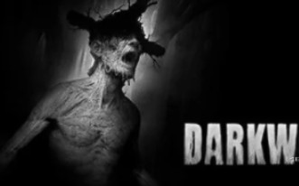 《阴暗森林》darkwood度过一个夜晚火力硬核通关,胆小者慎入