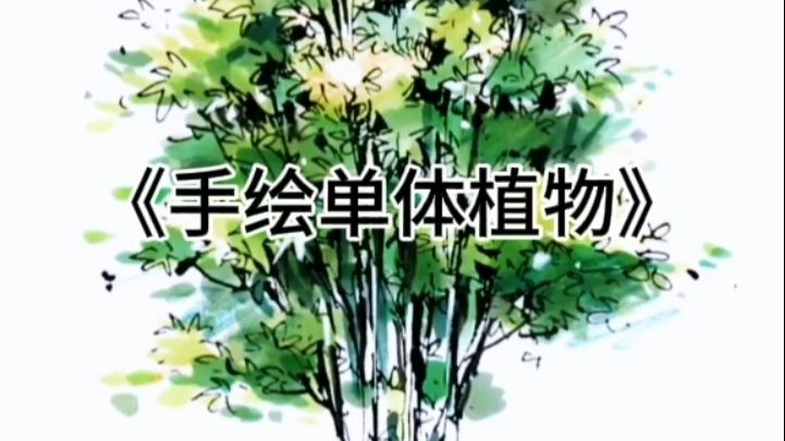 风景园林考研 | 在手绘单体植物时有哪些上色技巧?