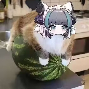 桃花味甜酒 